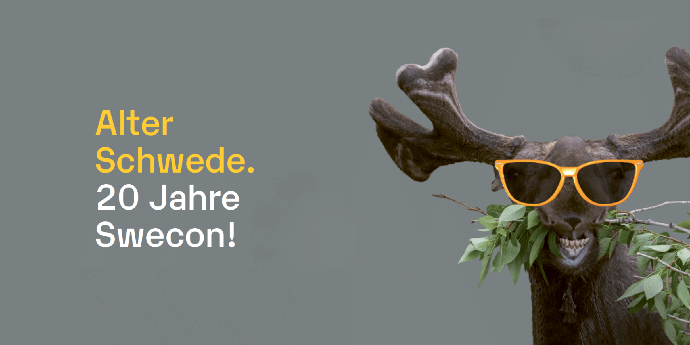 Swecon I Aktionen I 20 Jahre Swecon